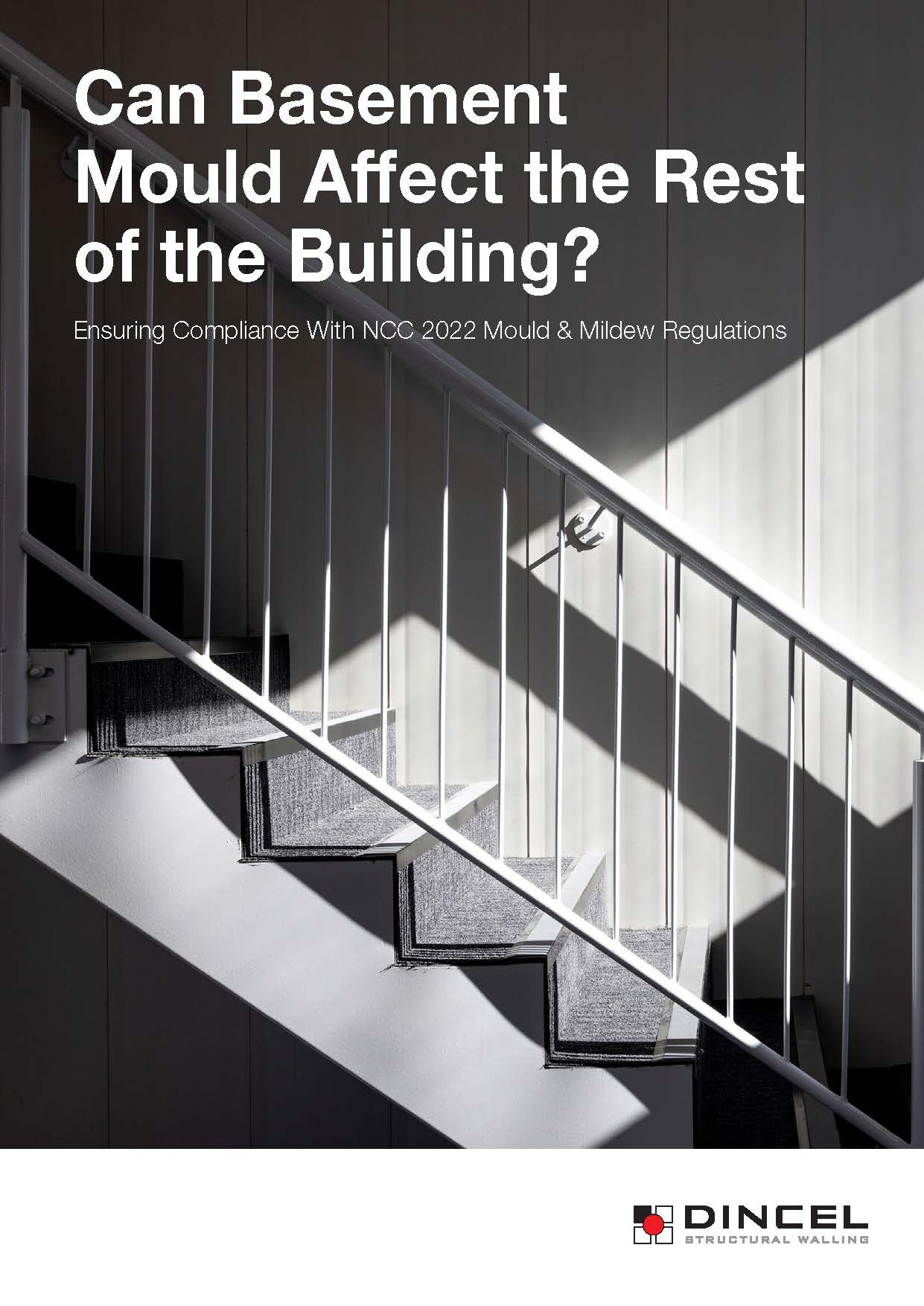 Can Basement Mould Affect The Rest Of The Building? | News Article ...